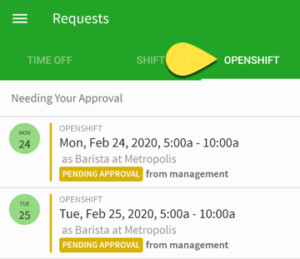 Process OpenShift Requests – When I Work Help Center